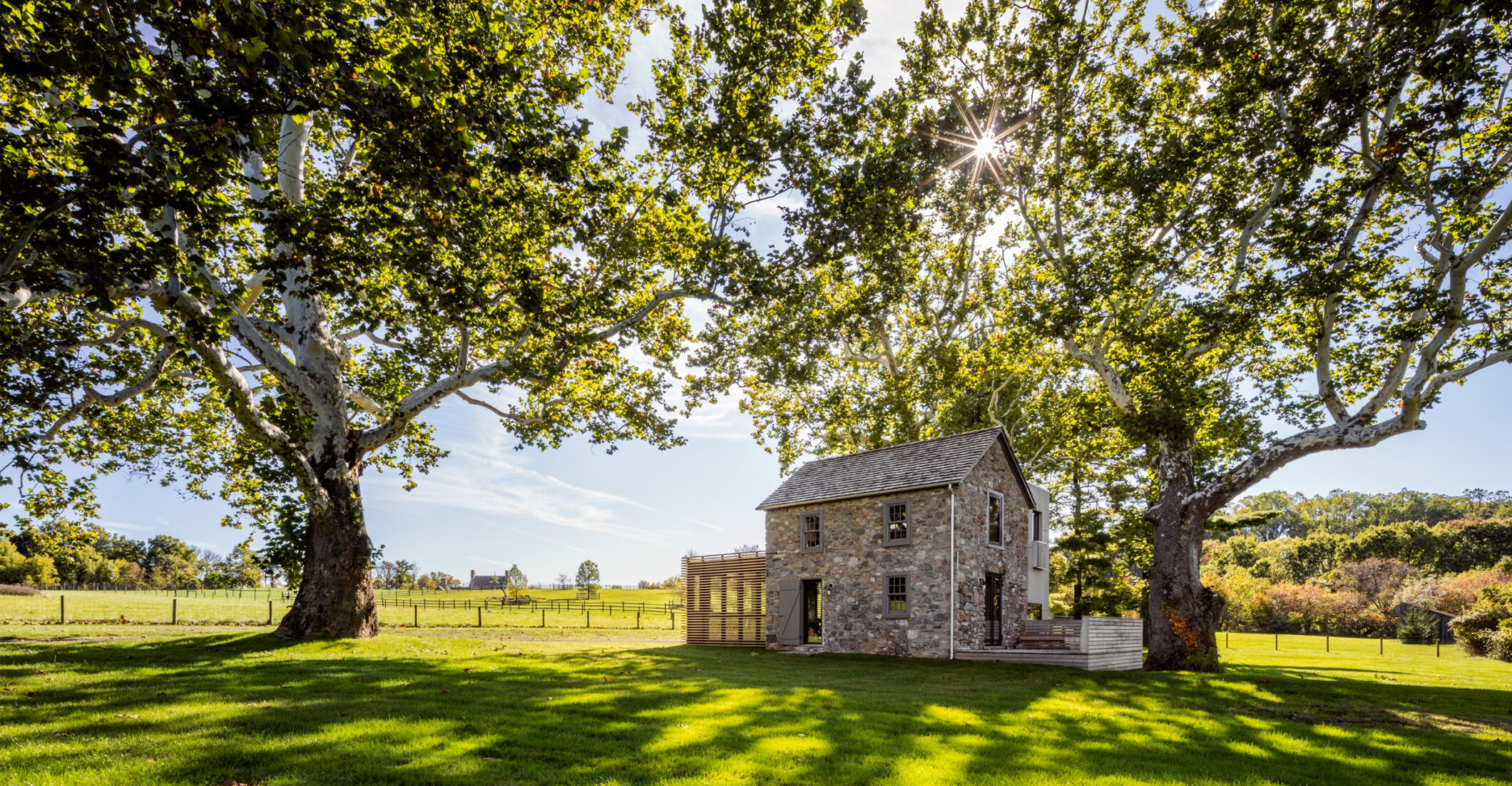 Spring House - Standard/Architects